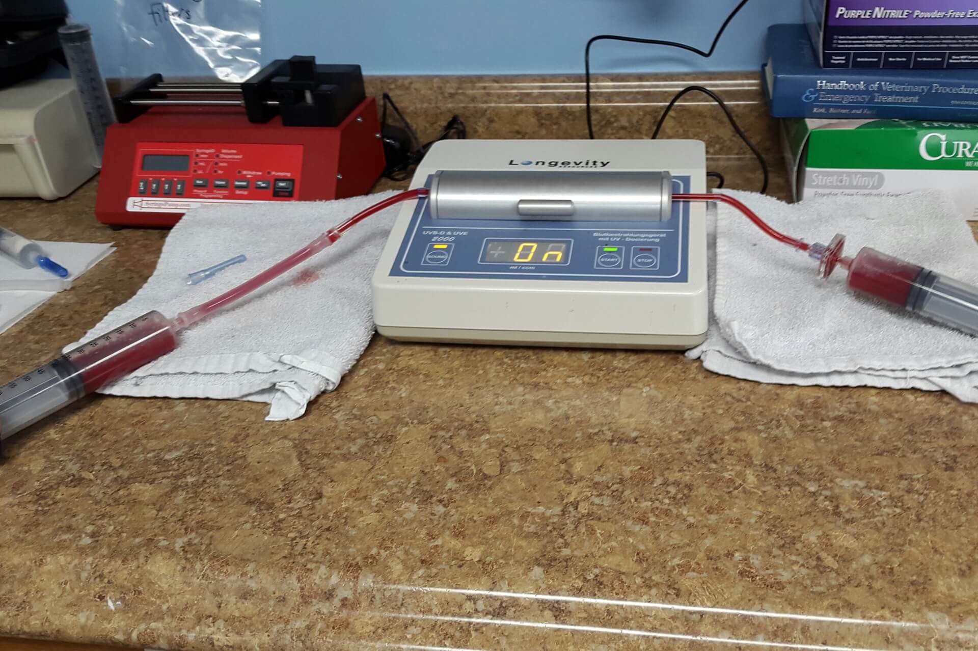 Pet Ozone Therapy In Germantown, MD | Holistic Veterinary